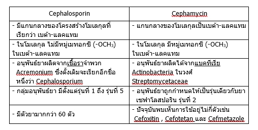 เซเฟม Cephem - หาหมอ.com